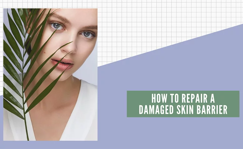 Chapter 19: Signs of a Damaged Skin Barrier and How to Fix It – THE ...